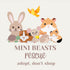 Mini Beasts Rescue